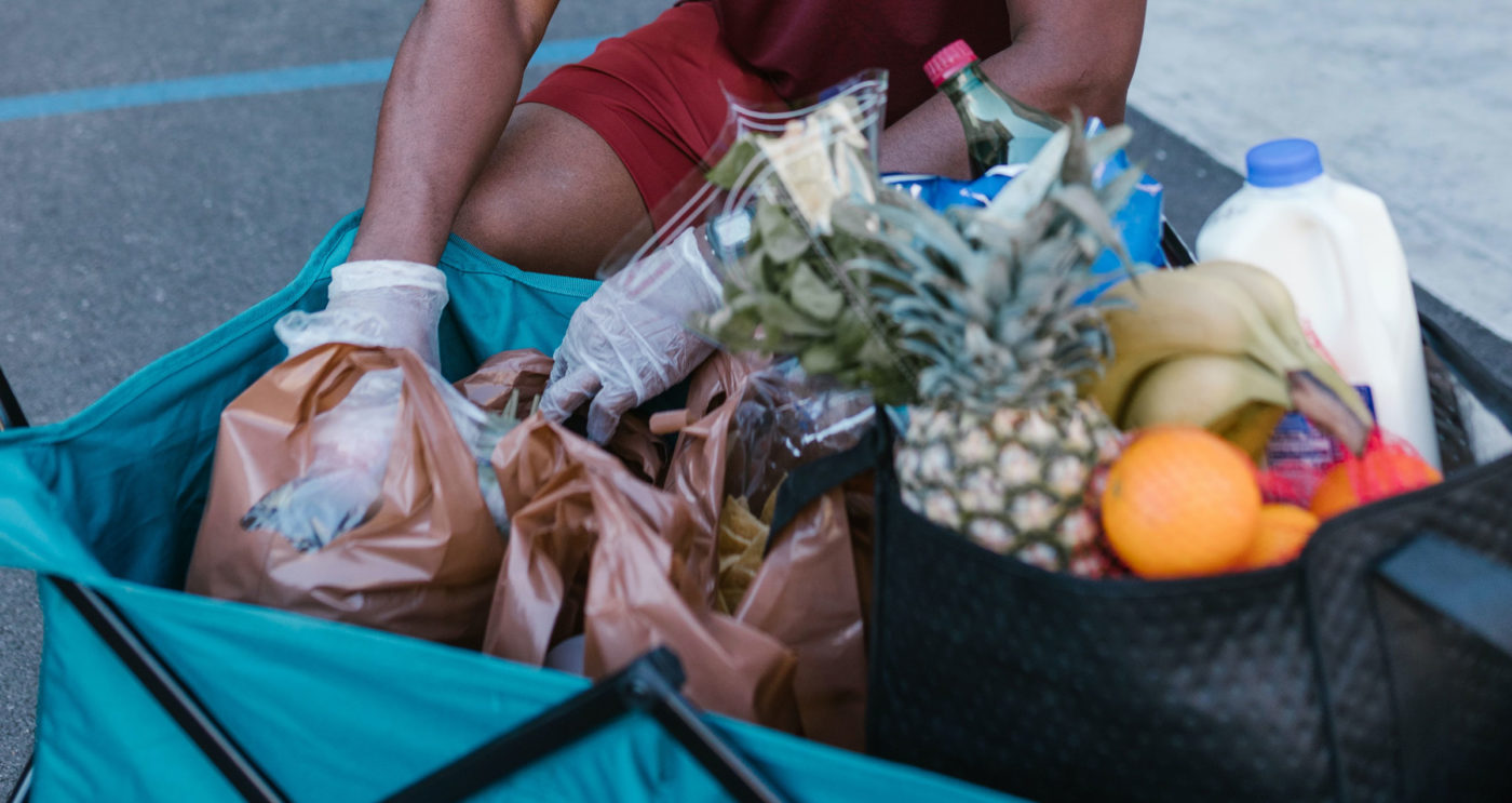 Food Resilience Toolkit – FoodWise